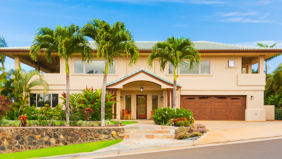 How Your Home Environment Affects Your Health - Wheatgrass Love